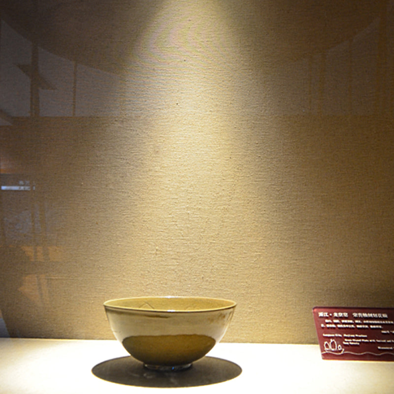 9036 the eye LED focus lighting fixture for Museum lighting – LEDing ...